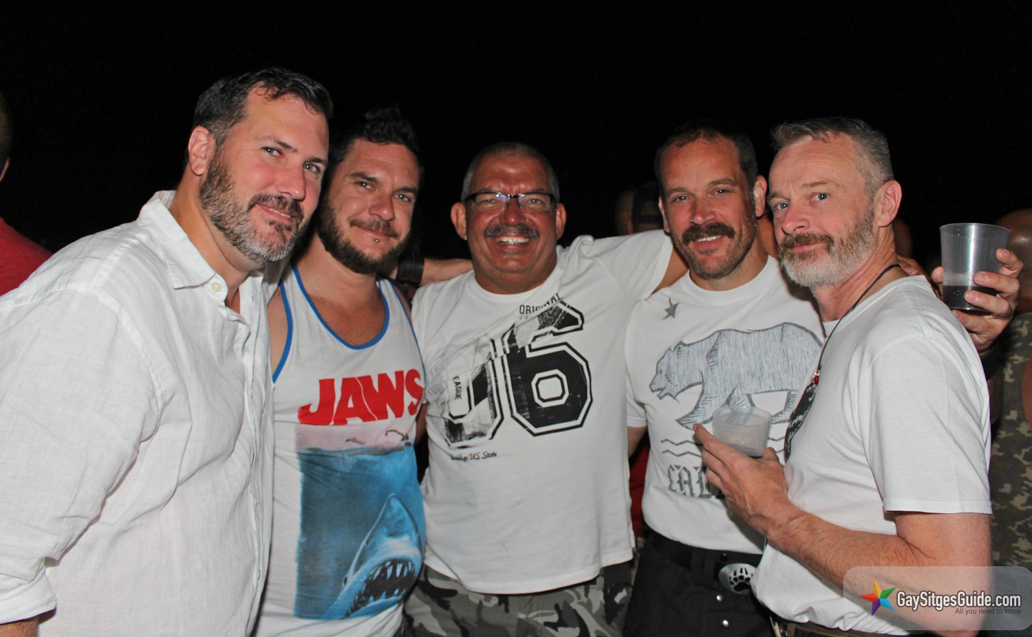 Bears Week Sitges 2015 at the Bear Village